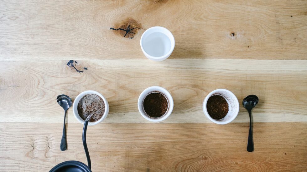 SCA Introduction to Coffee | Opo Coffee